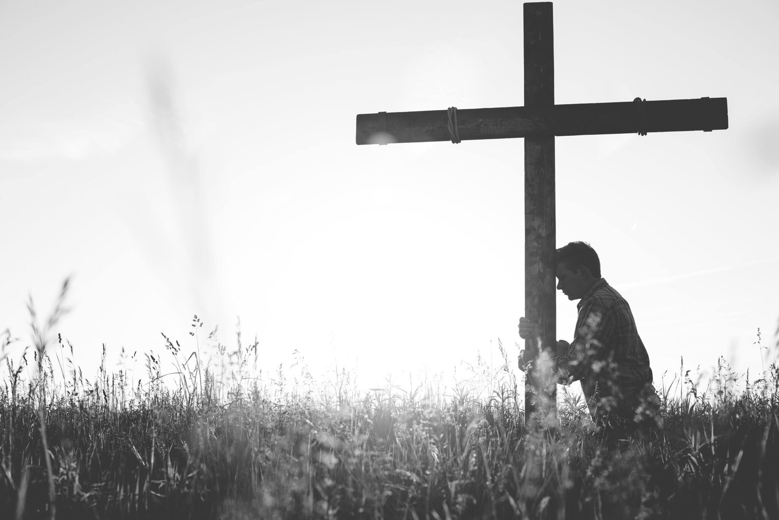 Restored by Grace: How God Turns Pain into Purpose – Crossway Bible